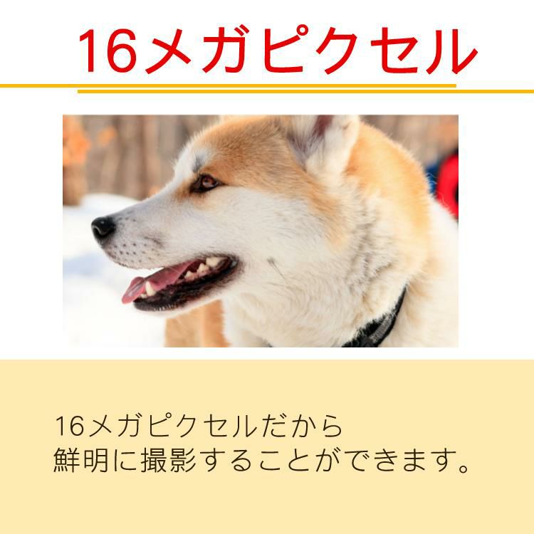 Kodak コダック デジタルカメラ FZ45 レッド ブラック Kodak コダック デジタルカメラ FZ45 レッド ブラック